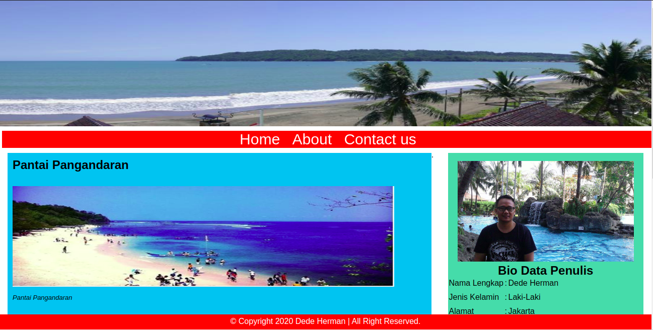 Porttofolio Dede Herman